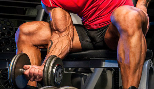 Buy Synthol | The Original Pump N' Pose - Muscle Site Enhancement Oil